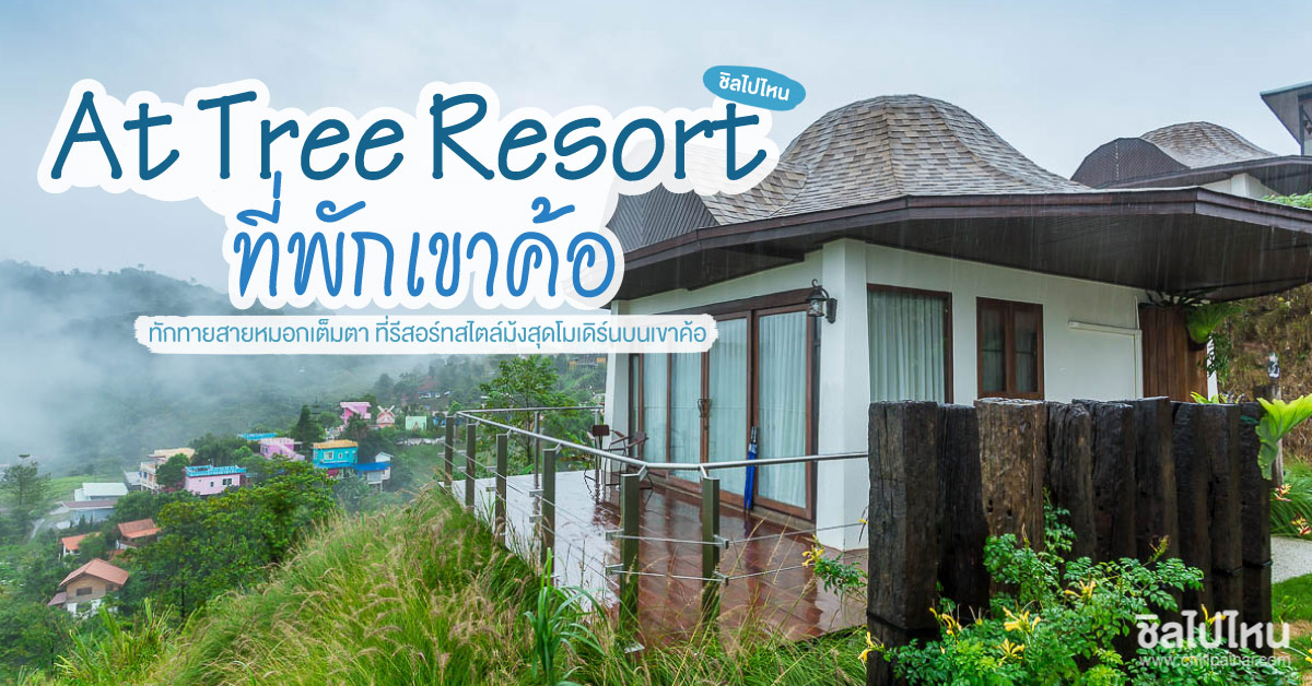 ทักทายสายหมอกเต็มตาที่ At Tree Resort รีสอร์ทสไตล์ม้งสุดโมเดิร์นบนเขา ...