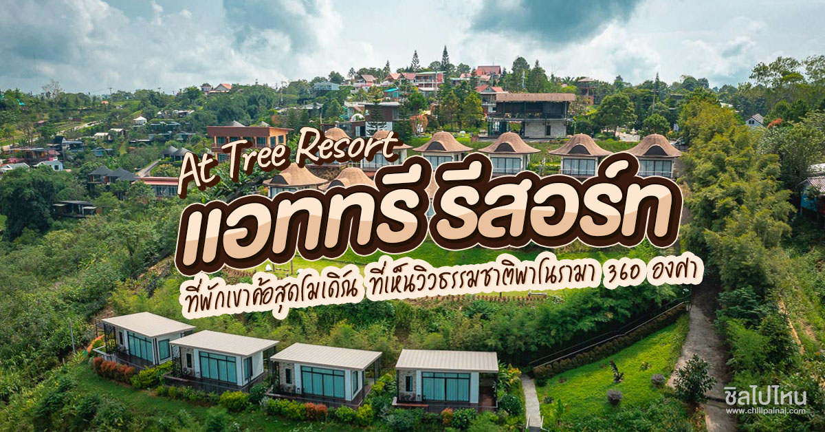 At Tree Resort (แอททรี รีสอร์ท) ที่พักเขาค้อสุดโมเดิร์น ที่เห็นวิว ...